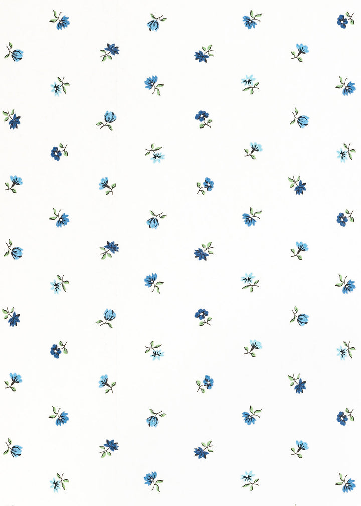 Tess Newall | Decorative Art and Homewares