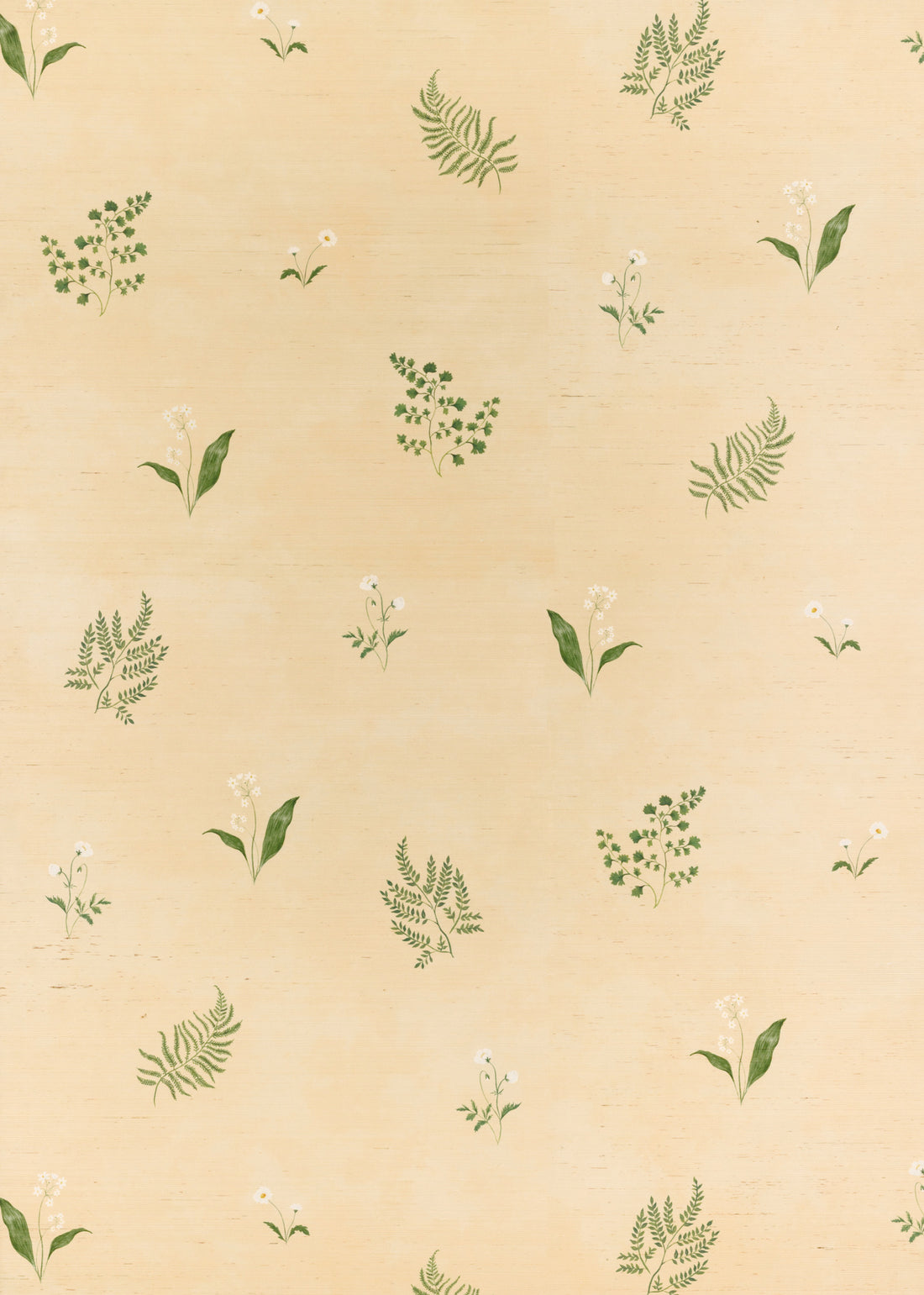 Herbarium Wallpaper | Wildflower | Tess Newall