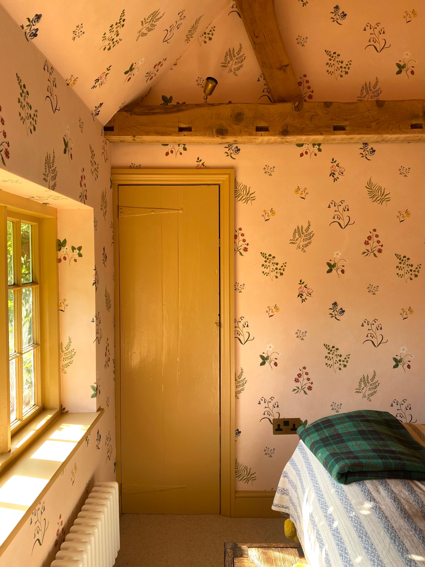 Herbarium Wallpaper | Wildflower | Tess Newall